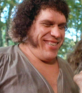 THE MOVIE | Theprincessbride