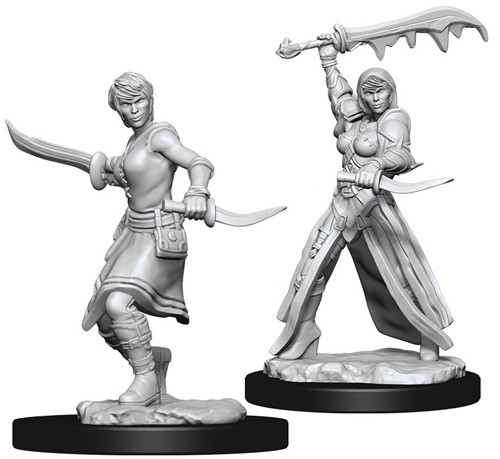 Female Human Rogue/73831/D&D Nolzur's Marvelous Miniatures Unpainted ...