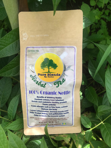 Nettle herbal tea | Pure Blends SVG