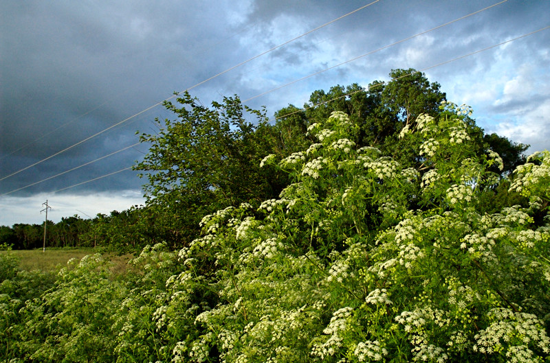 Jonas Hart | Landscape Photography | Ohio Landscapes