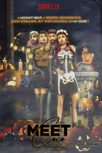 Simflix France - Suivez des séries Sims en ligne