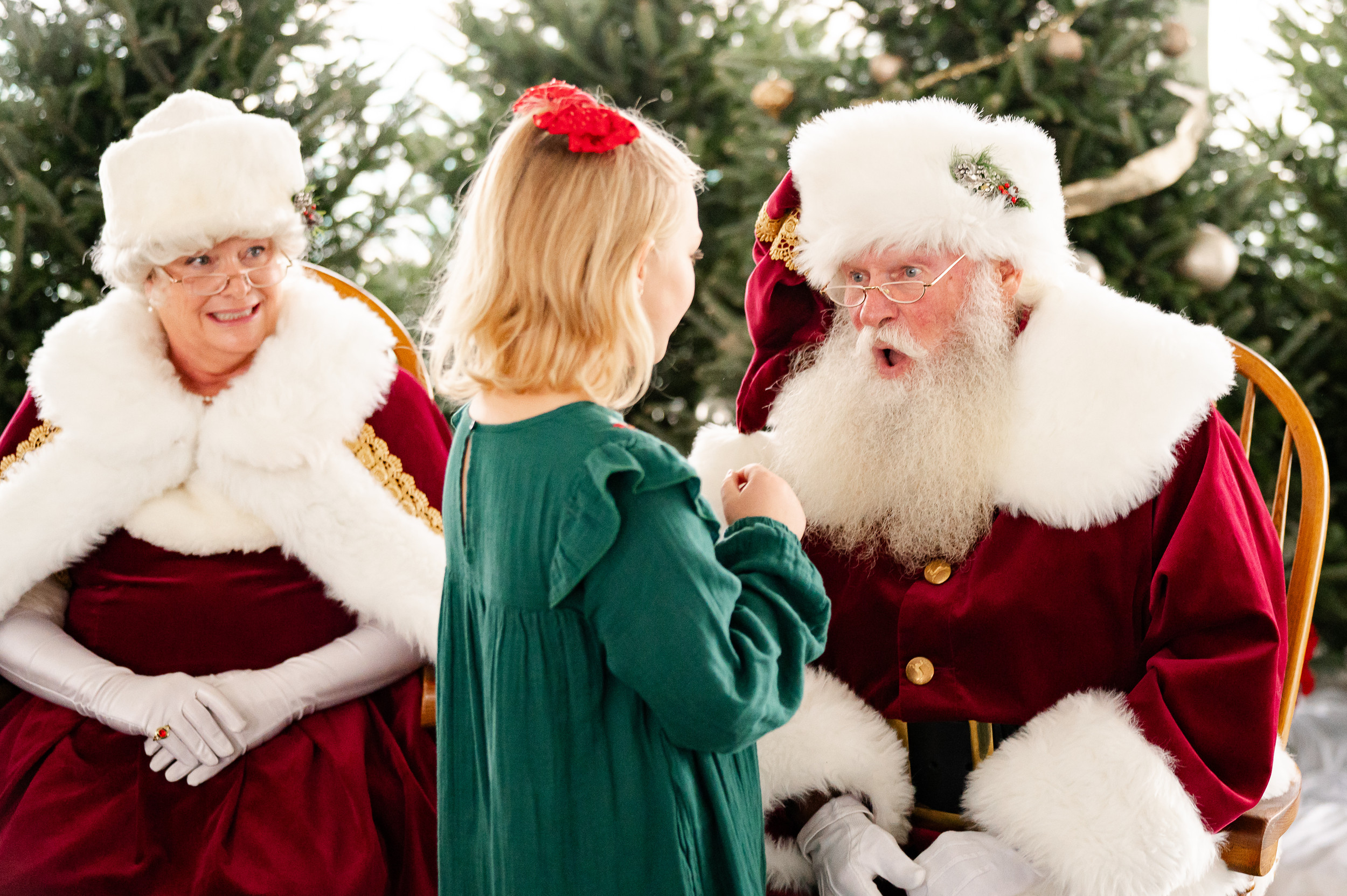 Christmas | Fifer's