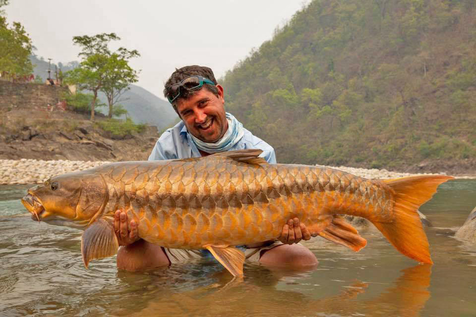 Mahseer diversity - a hidden crisis