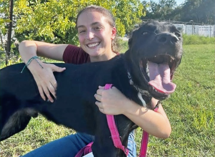 Zeke’s life was upended when his owners moved and left him behind. Now ...