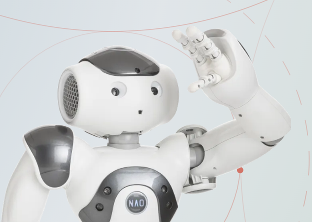 Nao Challenge | RoboCup France