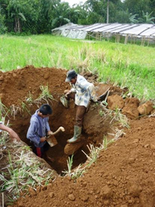 Indonesian Soils - Lessons in Sustainability