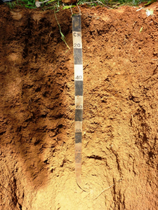 Indonesian Soils - Lessons in Sustainability