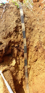 Indonesian Soils - Lessons in Sustainability