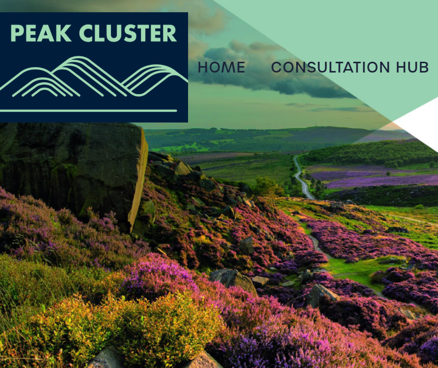 Peak Cluster Pipeline Project