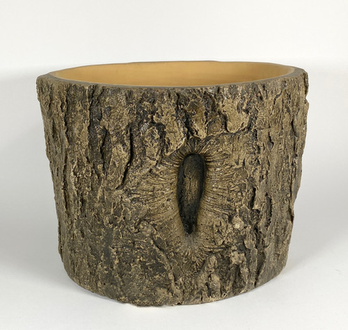 Unique Craft Oak Tree Trunk Vase Large 11"x10.5"x8" Wood Pottery with ...