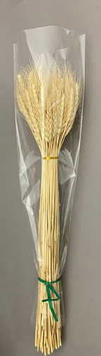Dried White Wheat Bundles | CalCastle Int.