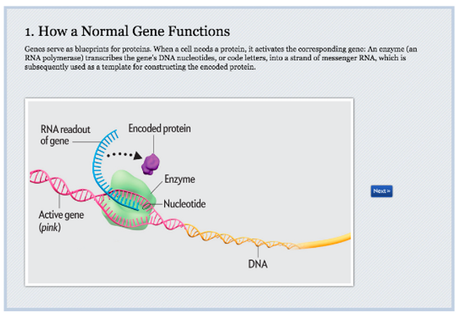 Learn about Epigenetics in 4 Easy Steps!