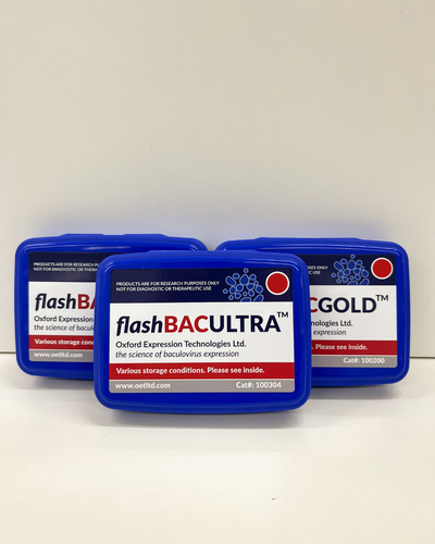 flashBAC™ Selection Box | OET