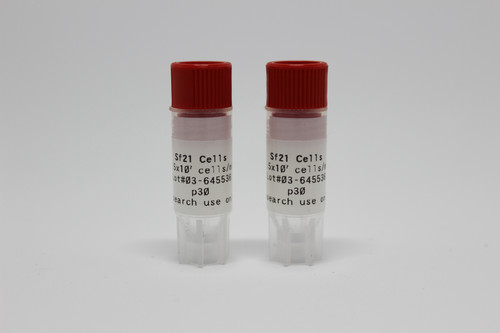 Sf21 Cells | OET