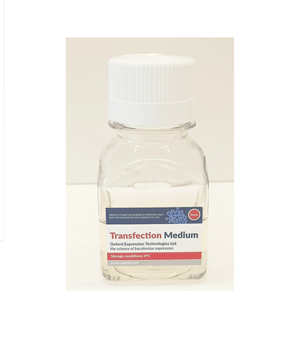 Transfection Media | OET