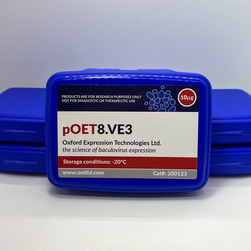 pOET8.VE3 Transfer Plasmid | OET