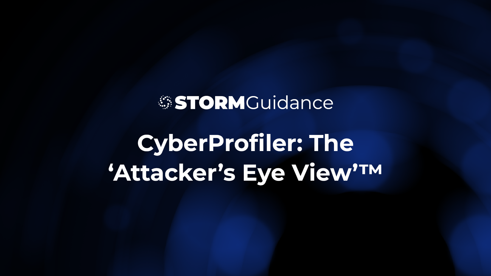 CyberProfiler – Cybersecurity Exposure Scan | STORM Guidance