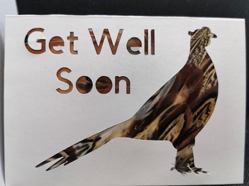 Get Well Soon | Game Bird Feathers