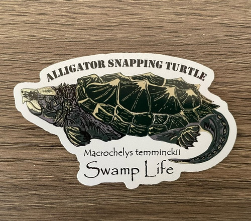 Alligator Snapper Swamp Life | My Vxw Site Ah7z7l