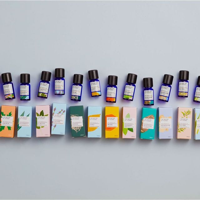 Recipes (All) | The Nature of Things