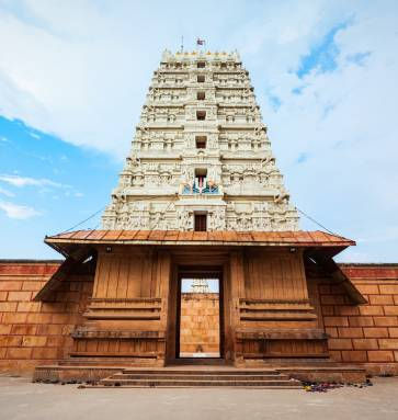 Festival at Ranganath Temple | Festivals of Mathura Vrindavan