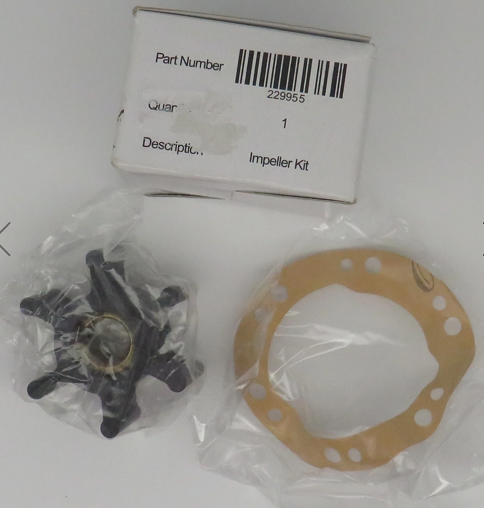 KIT DE IMPELENTE PARA GENERADOR KOHLER 229955 | Agromaritimus