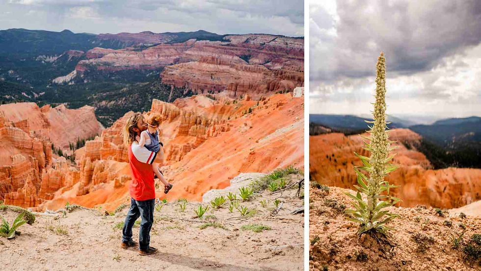 10 Must-See State Parks in Southern Utah (Plus a Few Other Local Gems)