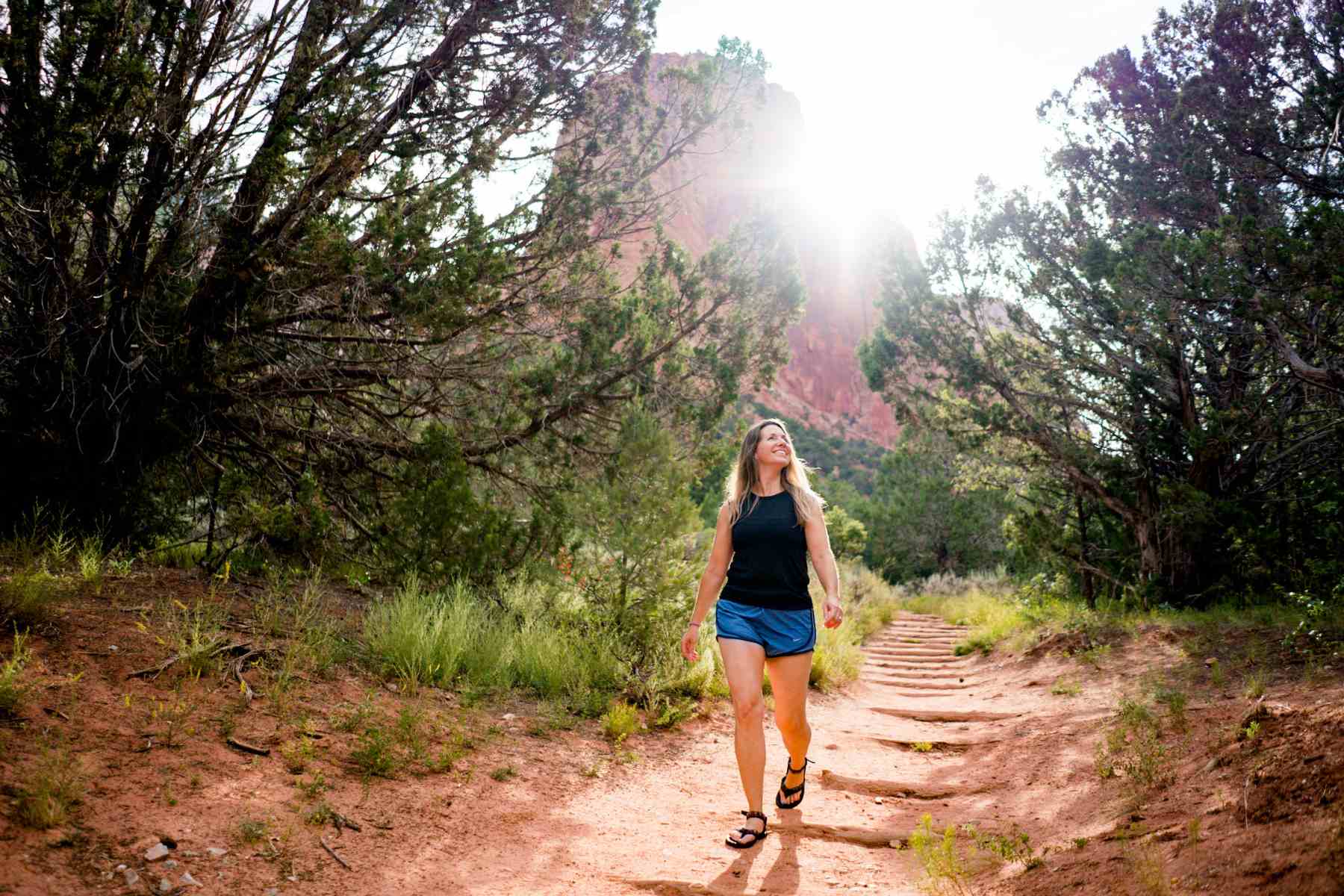 Guide to Kolob Canyons Scenic Drive – How to Explore This Unique Area ...