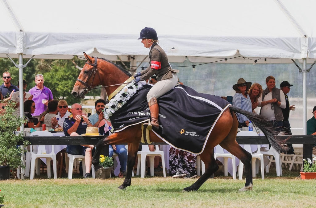 Stallions | PL Performance Horses