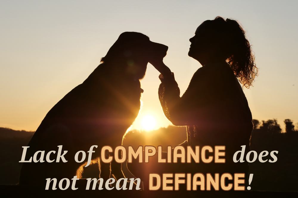 Defiance Meaning