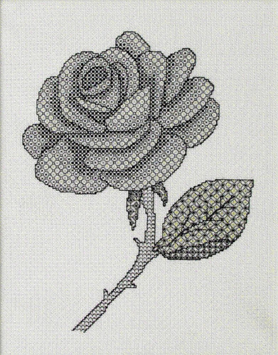 Blackwork Rose | Choices