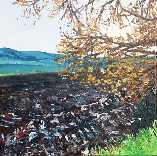 Ploughed Field | vibrantartbyellen