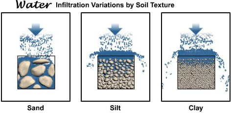 Soil Formation.