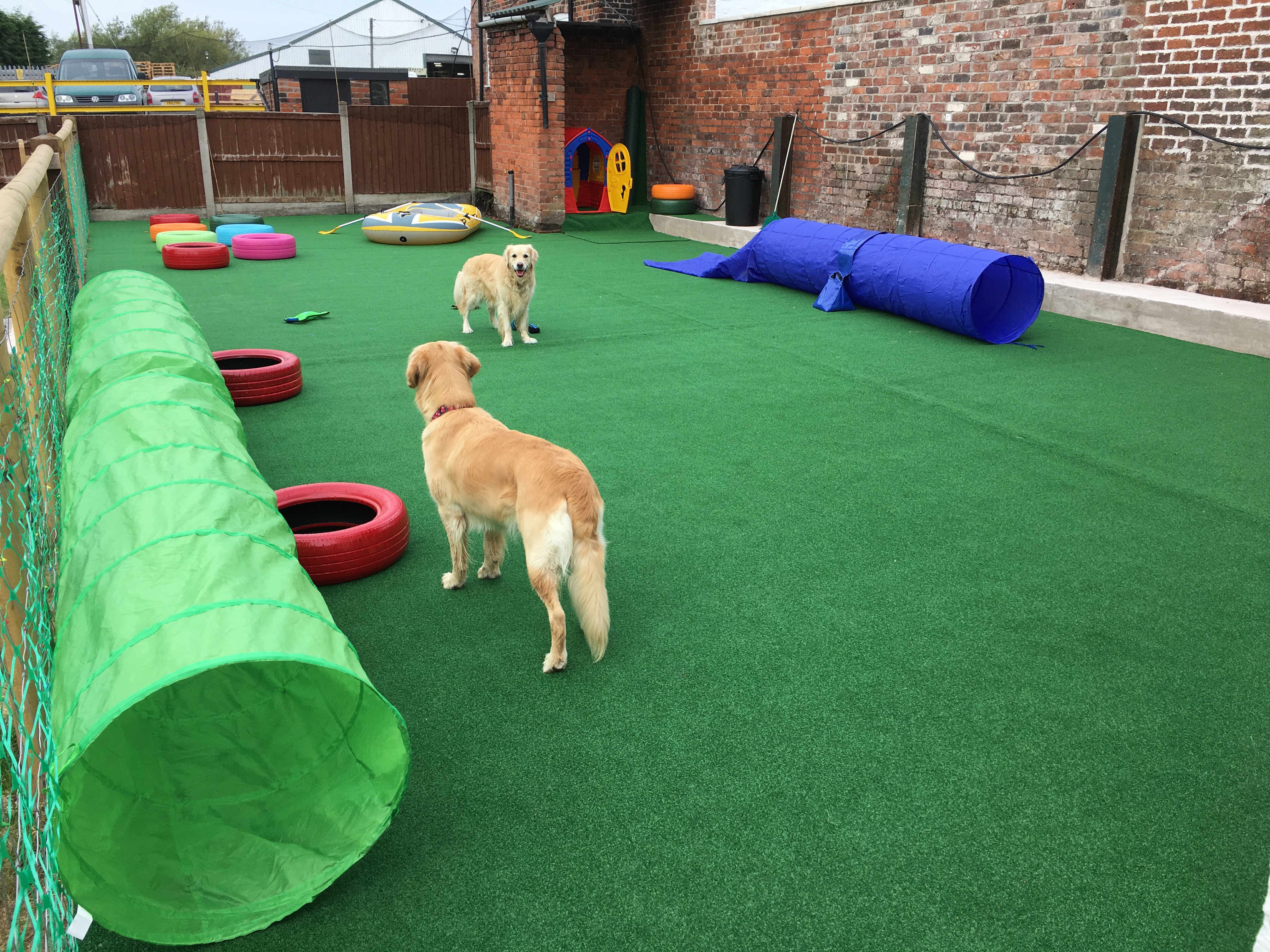 Doggy Day Care Wheelock Sandbach