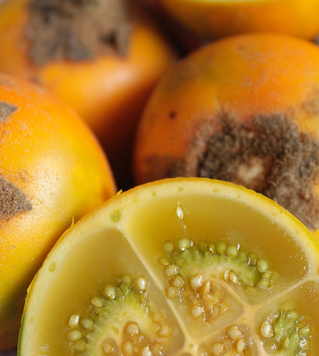 LULO | DeMuerteLenta