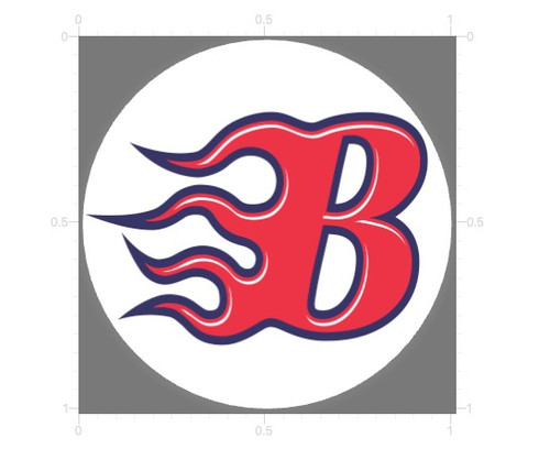 Blaze Award 1" Decals (Qty 25) | Blaze Customshop