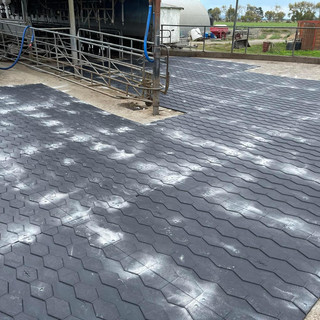 Dairy & Equine Rubber Matting | SureGrip Mats | New Zealand