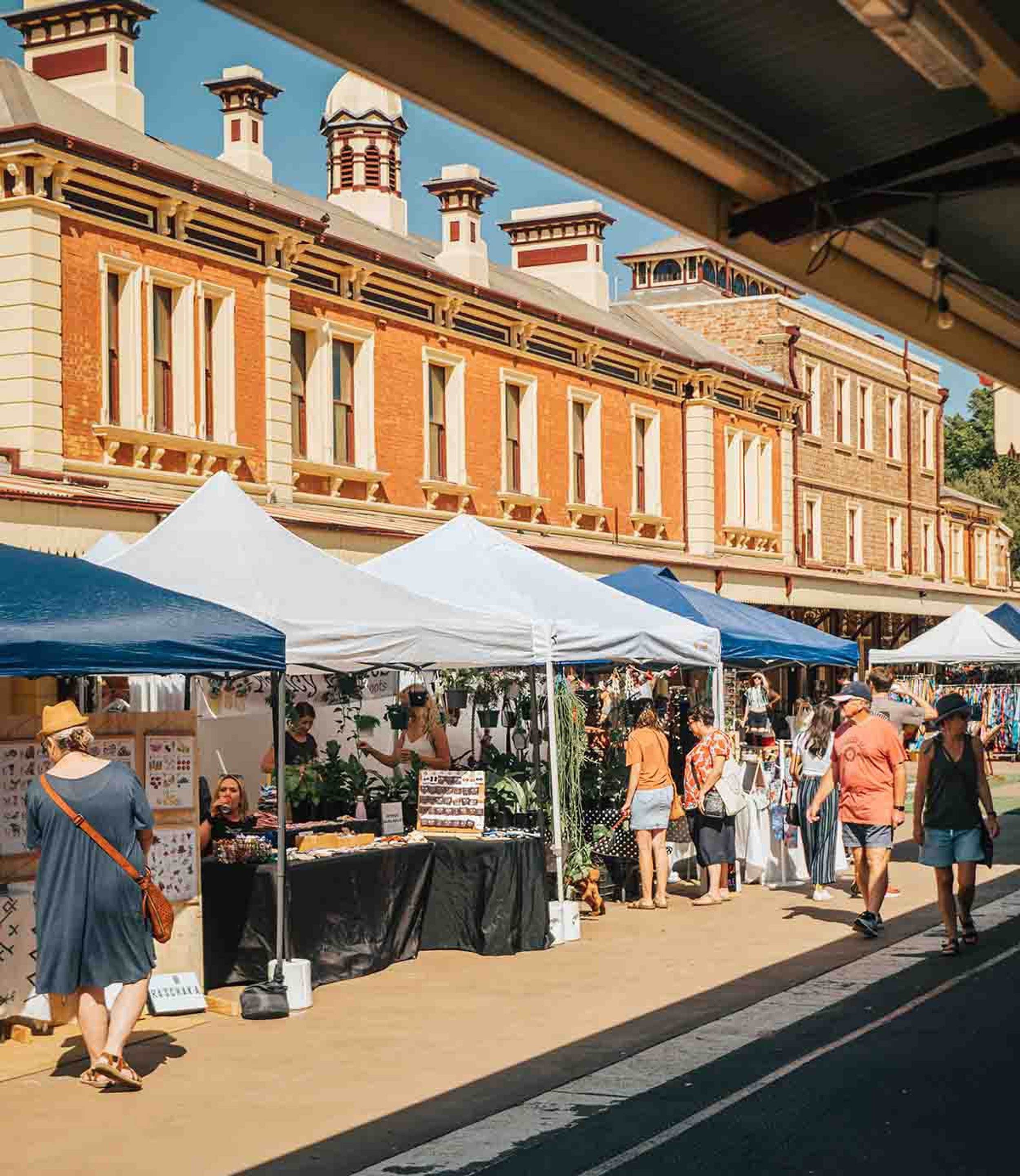 Homegrown Markets - Newcastle | Homegrown