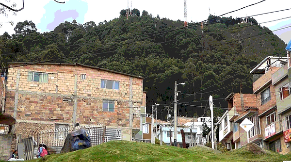 Reportaje | pardorubio