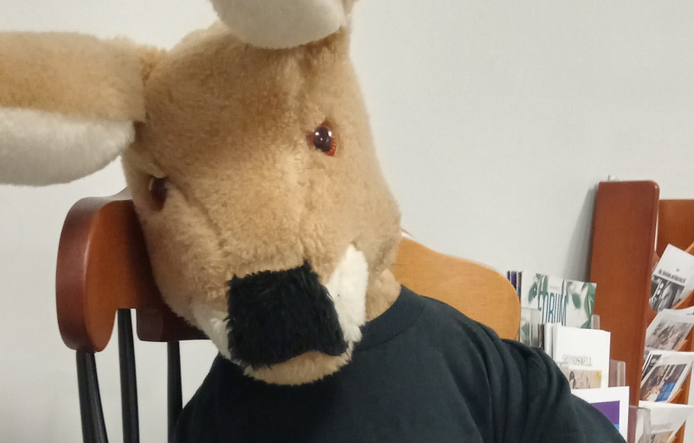 Meet Carl, UB’s Newest Marsupial Amigo