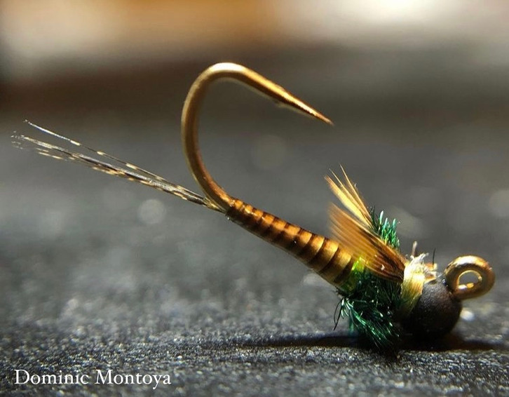 Adventure On The Water | Daiichi® Hooks