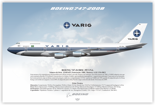 Pôster Perfil Boeing 747-200 VARIG | Aeroarte