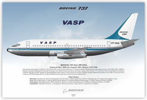 Pôster Perfil Boeing 737-200 VASP 1ª Pintura | Aeroarte