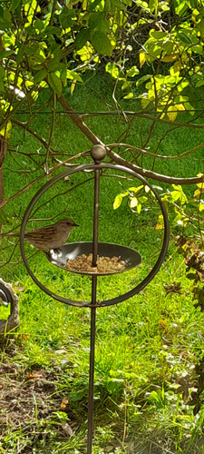 Bird Feeder Stake with 150mm Shallow Dish | Shrubbs