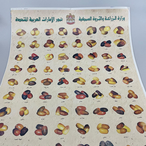 UAE dates poster | Alzari Antiques