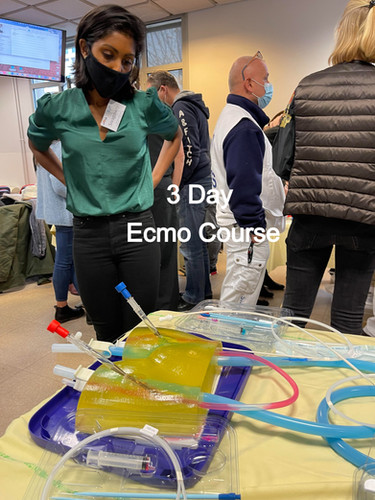 3 Day Ecmo Course | Sauv ecmo