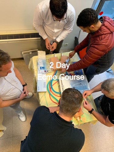 2 Day Ecmo Course | Sauv ecmo