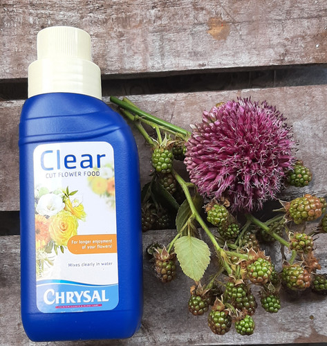 Chrysal Clear Flower Food | Jonathan Moseley