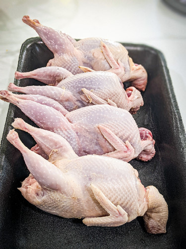 Pasture-Raised Quail – Ethical, Sustainable, Gourmet Meat | Sunrise Hollow