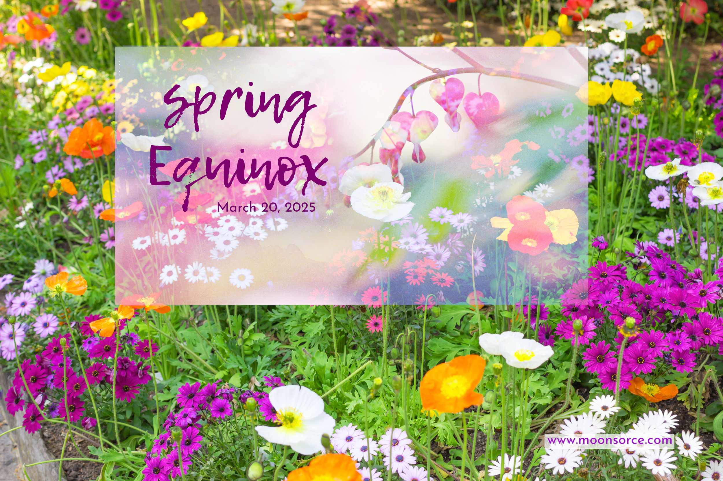 Spring Equinox